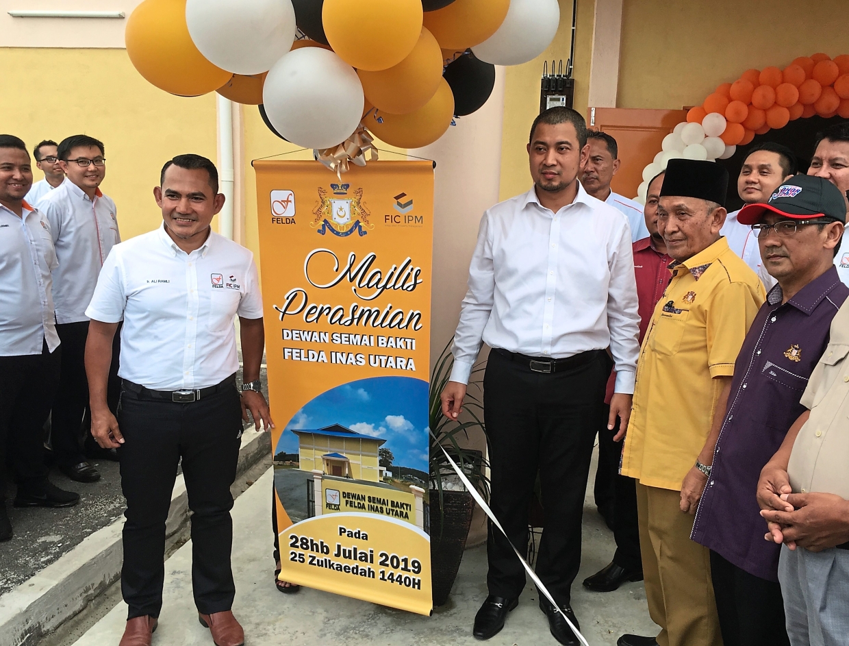 Pineapple farm in Felda Ulu Tebrau | The Star