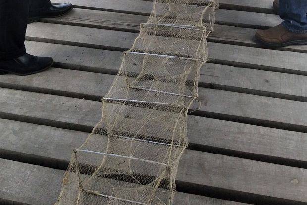 Perak Fisheries Dept seizes 90 dragon fish traps from three boats | The ...