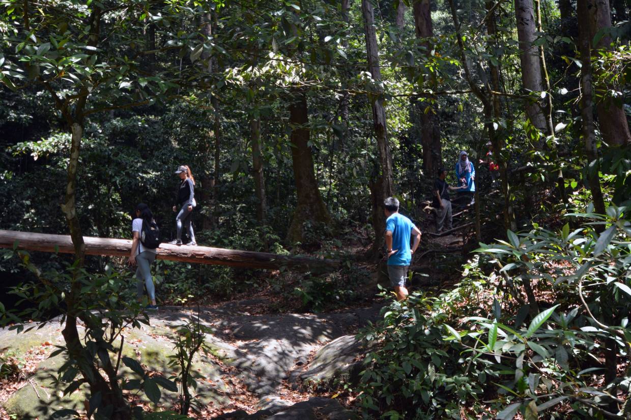 Prepare well when venturing into the wild, say guides | The Star