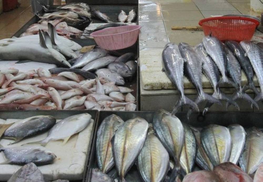 Fish sold in Penang markets safe for consumption, says Fisheries Dept ...