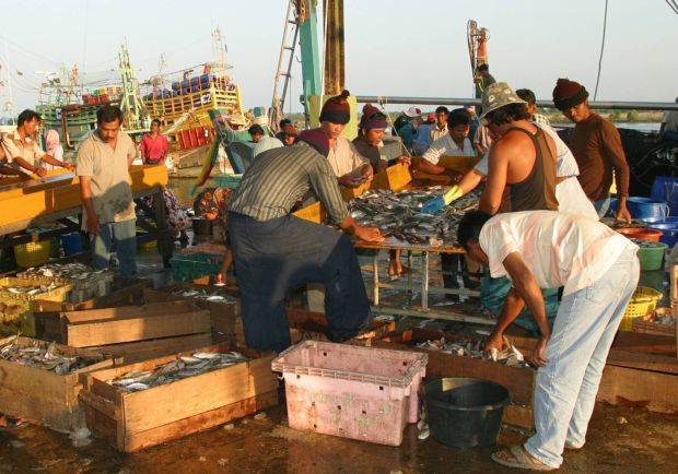 Soft-bone fish products can boost fishermen’s income | The Star