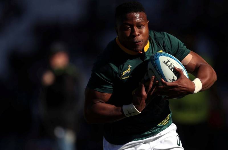 Rugby: Springboks winger Dyantyi faces ban after 'B' sample positive ...