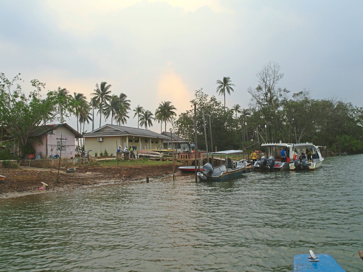 Thrill of hooking sailfish off the coast | The Star