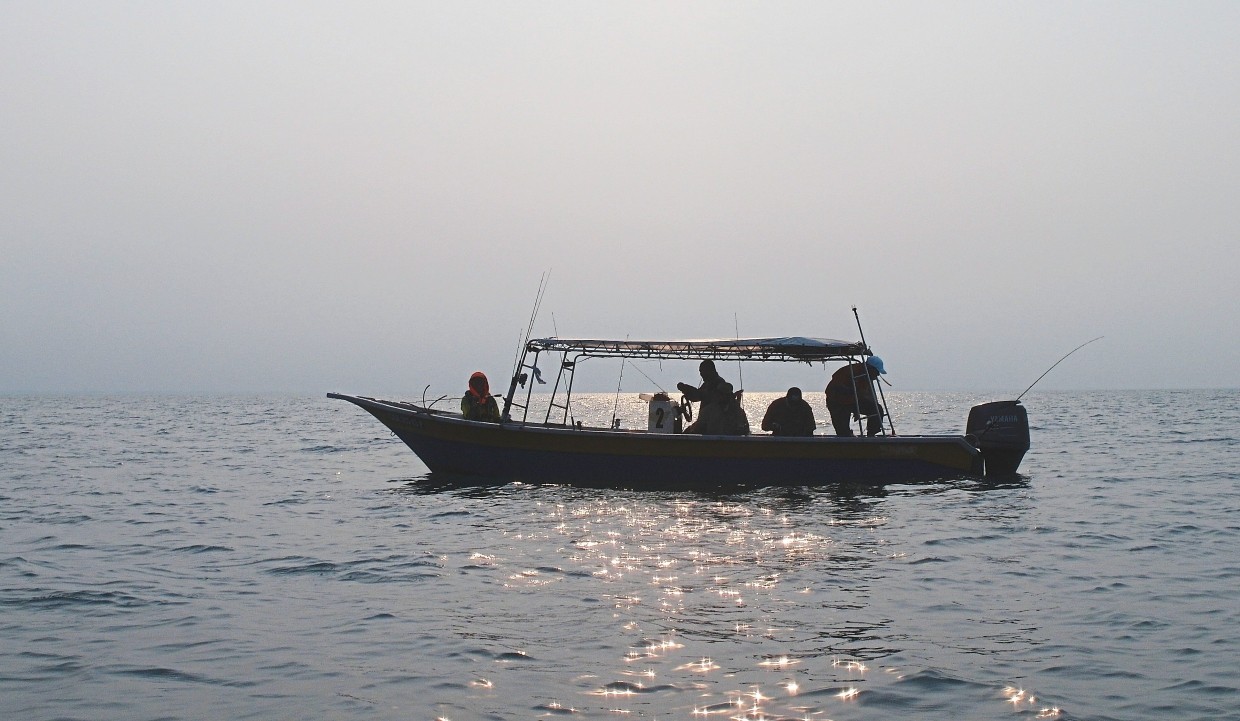 Thrill of hooking sailfish off the coast | The Star