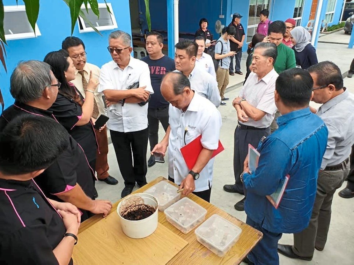 Disposing food waste the smart way | The Star