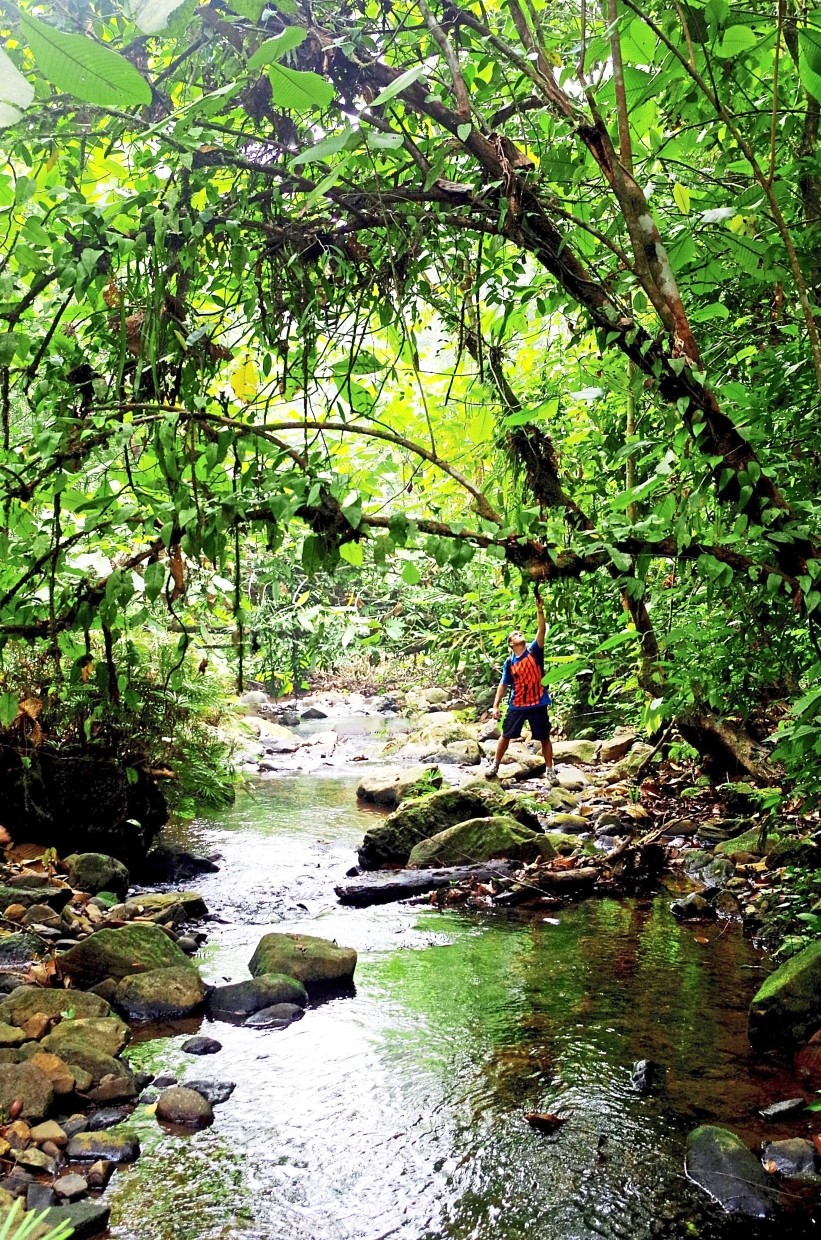 Lessons from life in the jungle | The Star