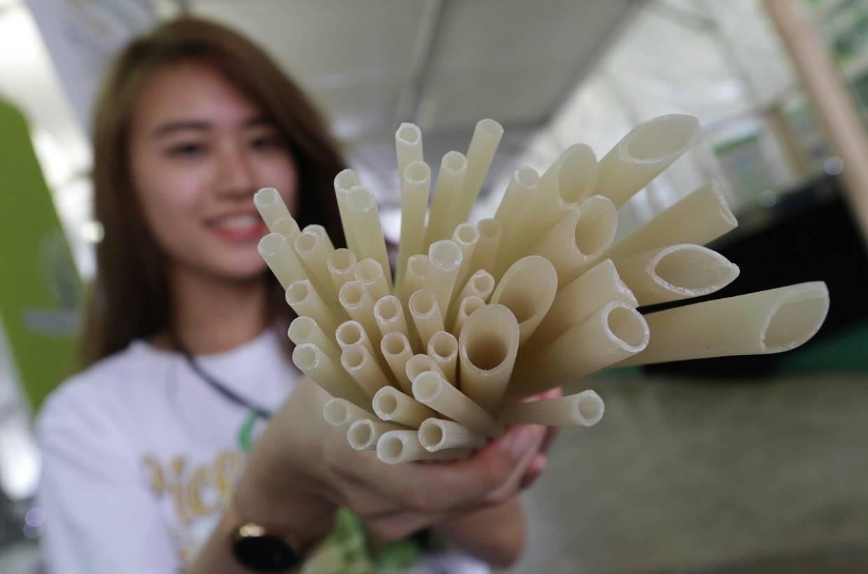 Rice Straws | The Star