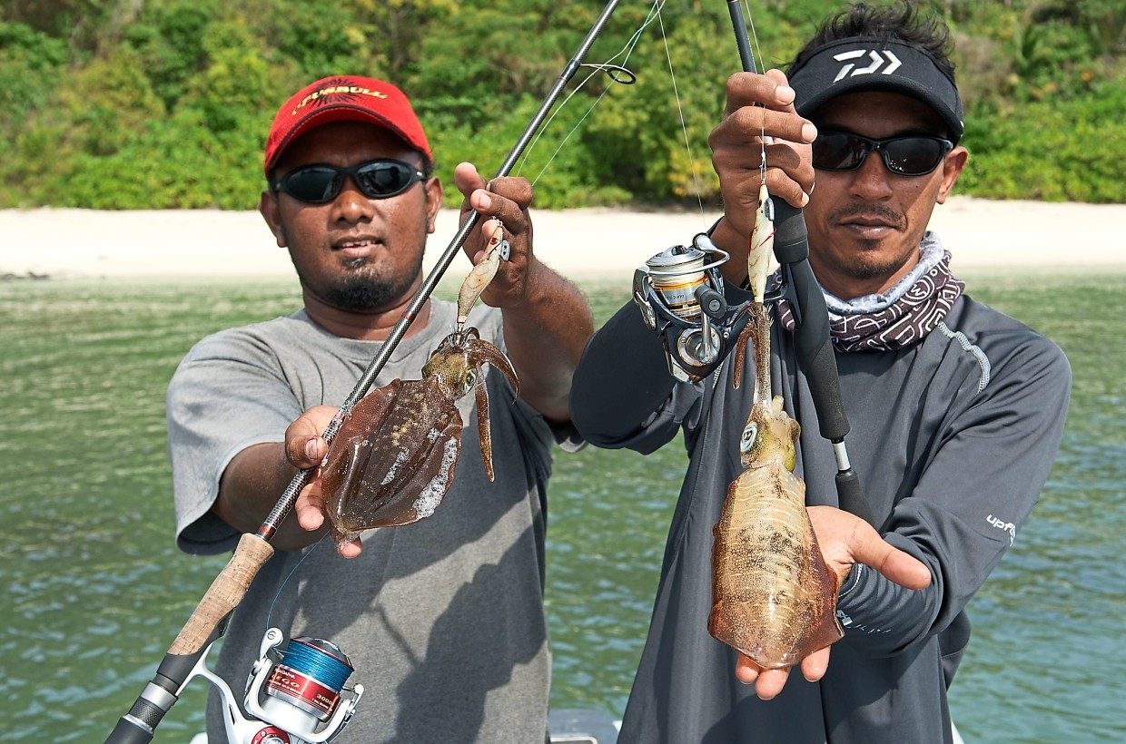 The lure of squid jigging | The Star