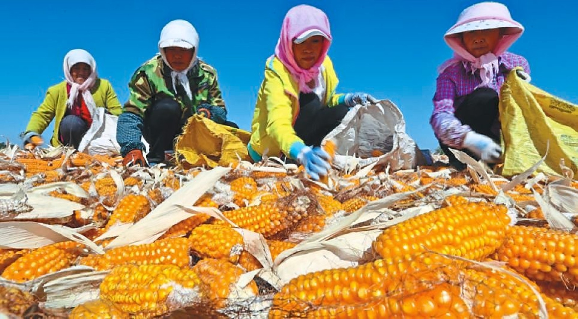 Global efforts to ensure food security | The Star