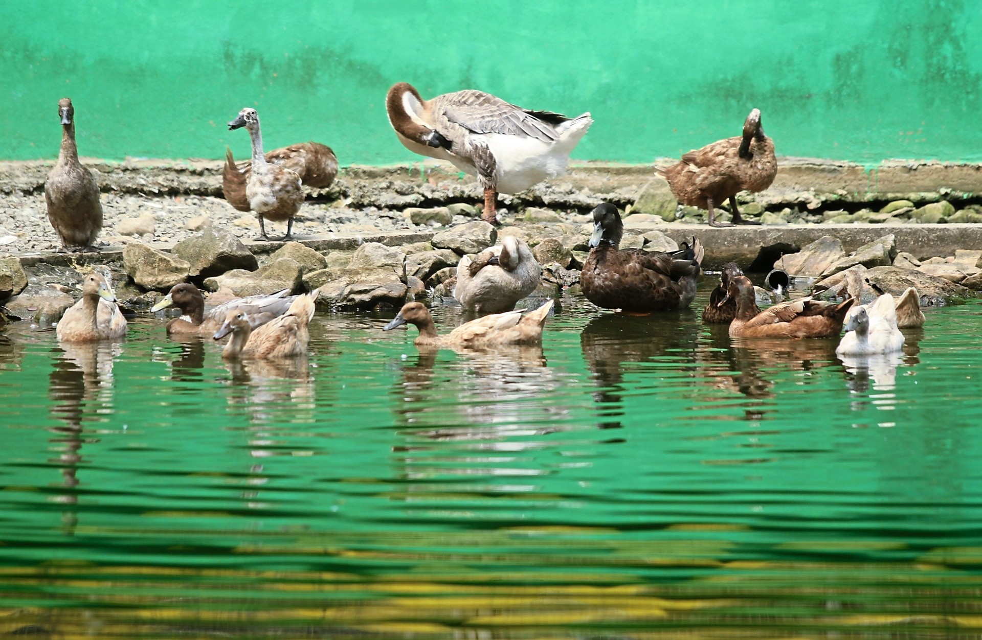 Discovering the beauty of Labuan | The Star