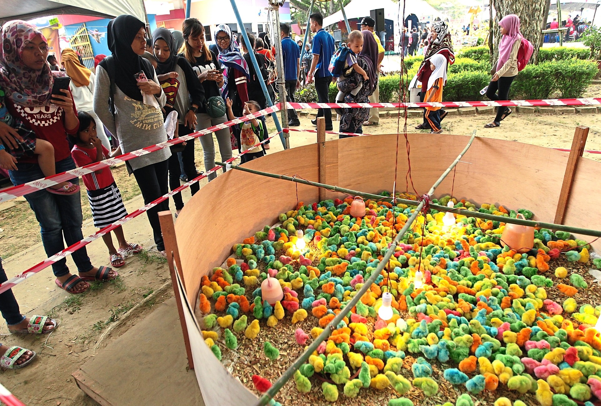 Discovering the beauty of Labuan | The Star