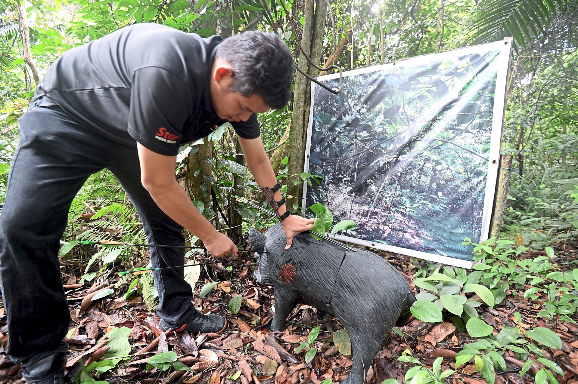 Wild target practice | The Star