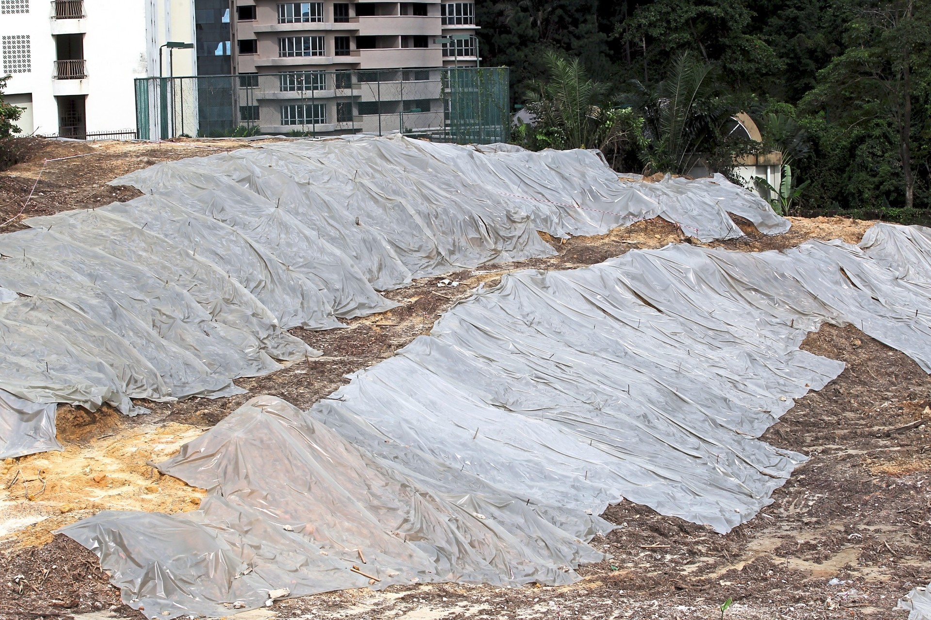 Fibromat’s options for continued growth | The Star