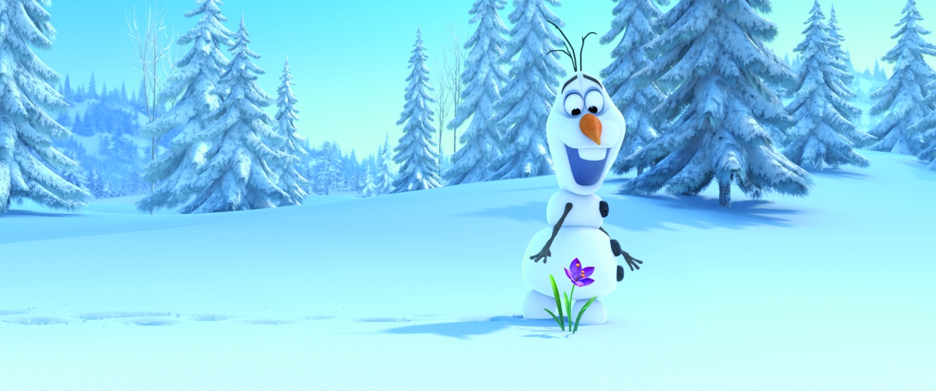 Florida man ‘let it go’ by assaulting Olaf soft toy | The Star