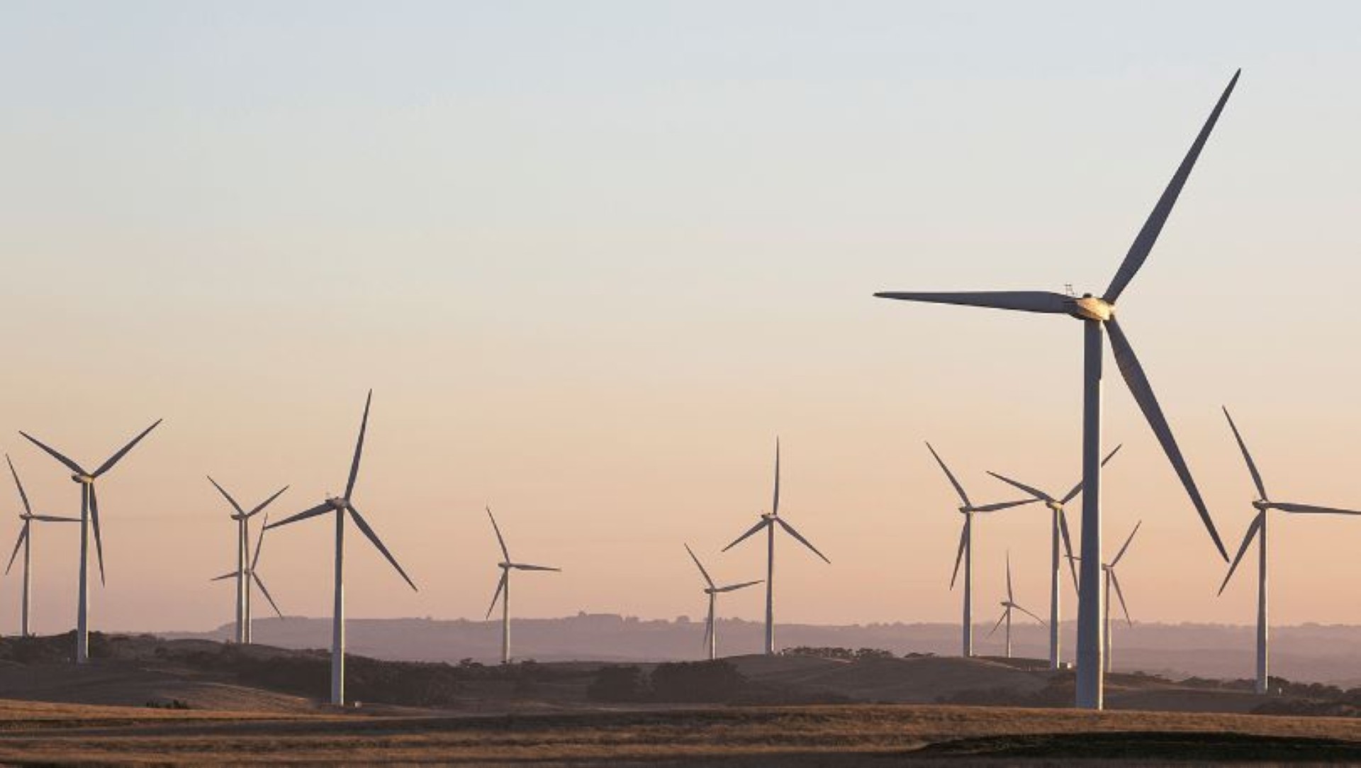 AMP Capital buys Malakoff's Macarthur Wind Farm stake | The Star