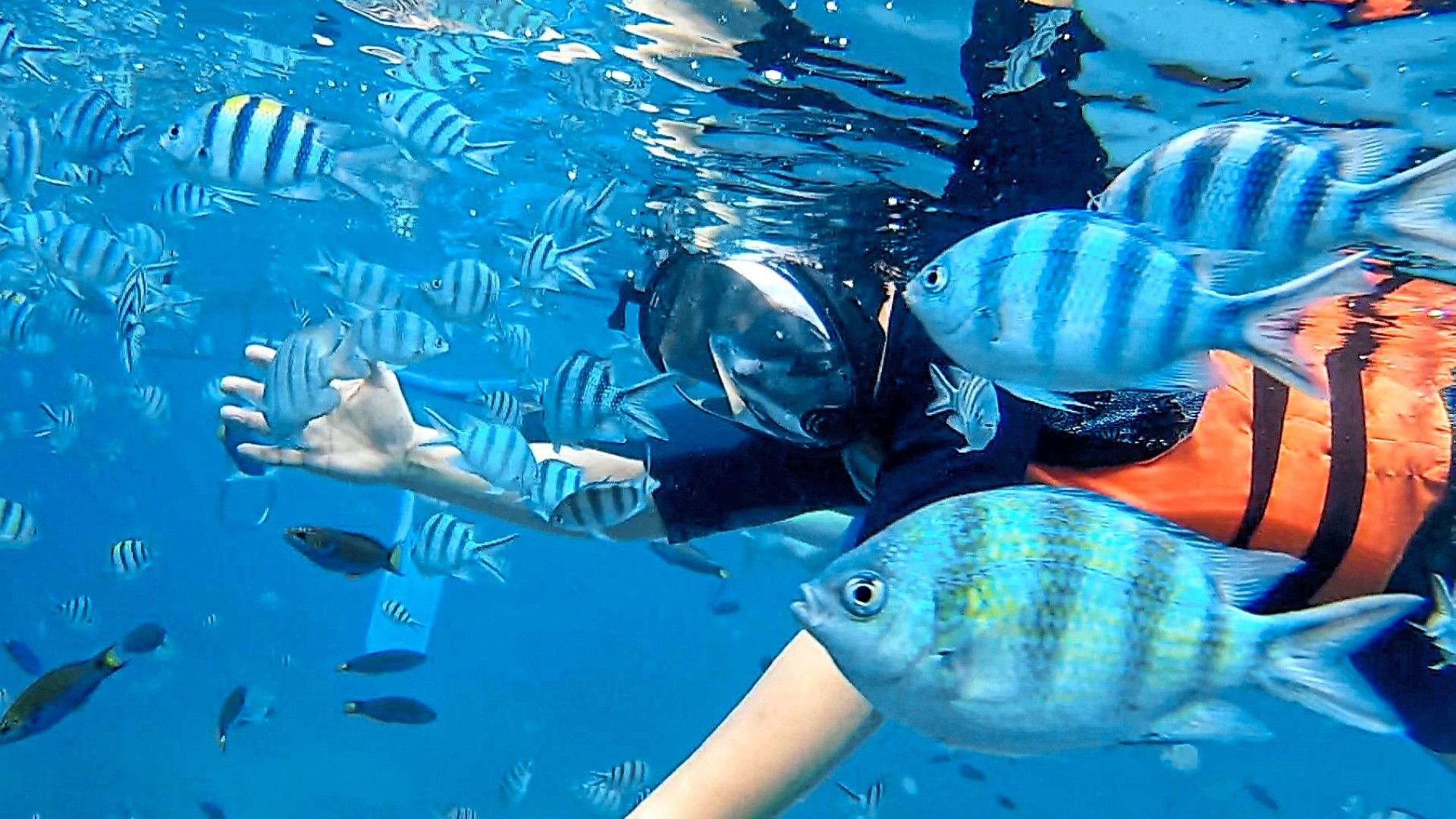 A gorgeous island that's just a hop, skip and jump away | The Star