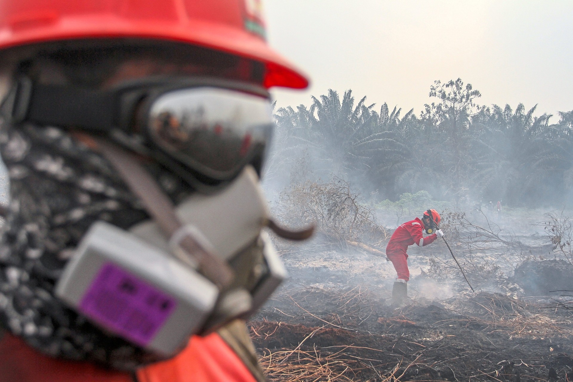 Riau officially ends emergency status for forest fires | The Star