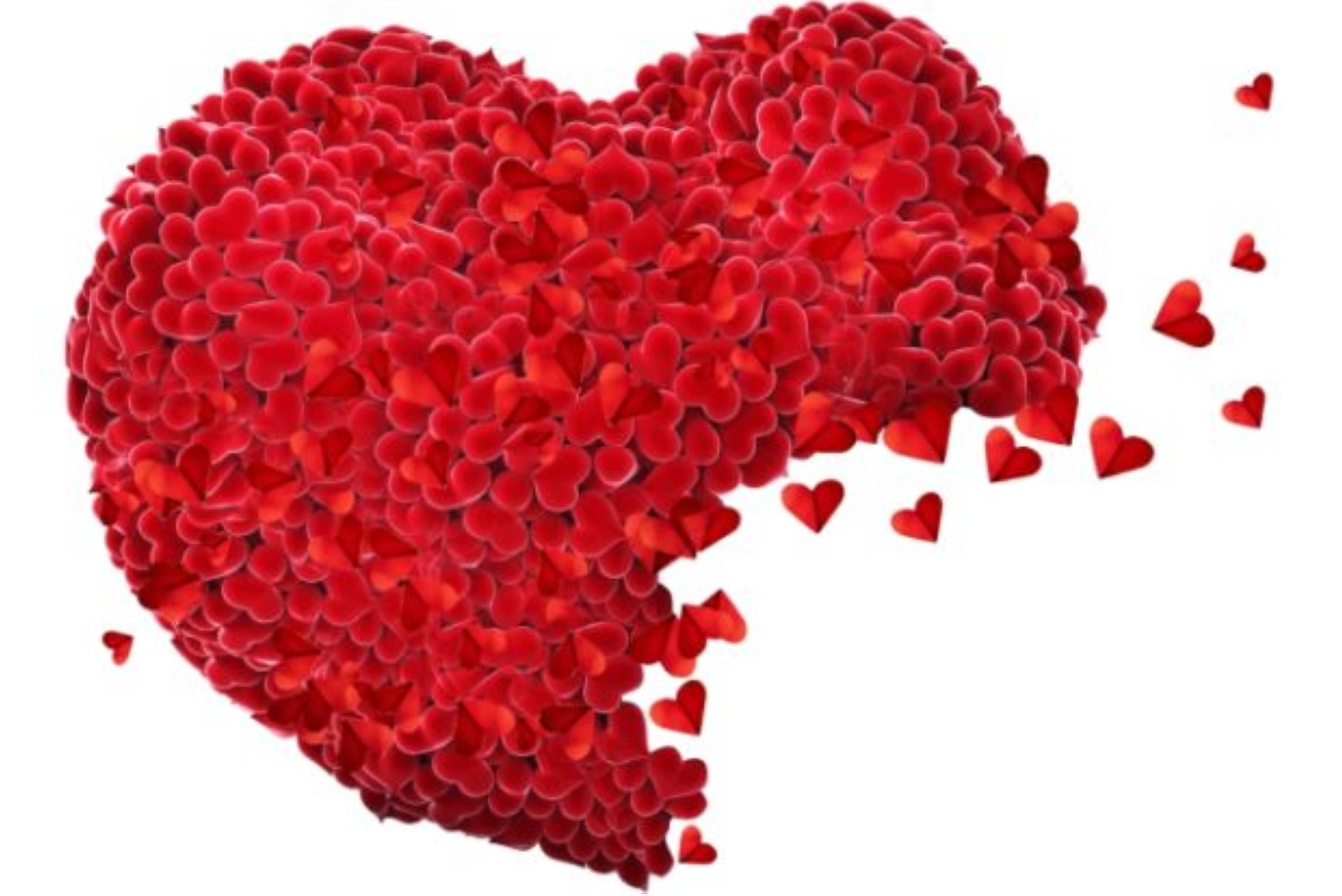 Efforts To Increase Number Of Organ Donors Hailed The Star efforts-to-increase-number-of-organ-donors-hailed-the-star