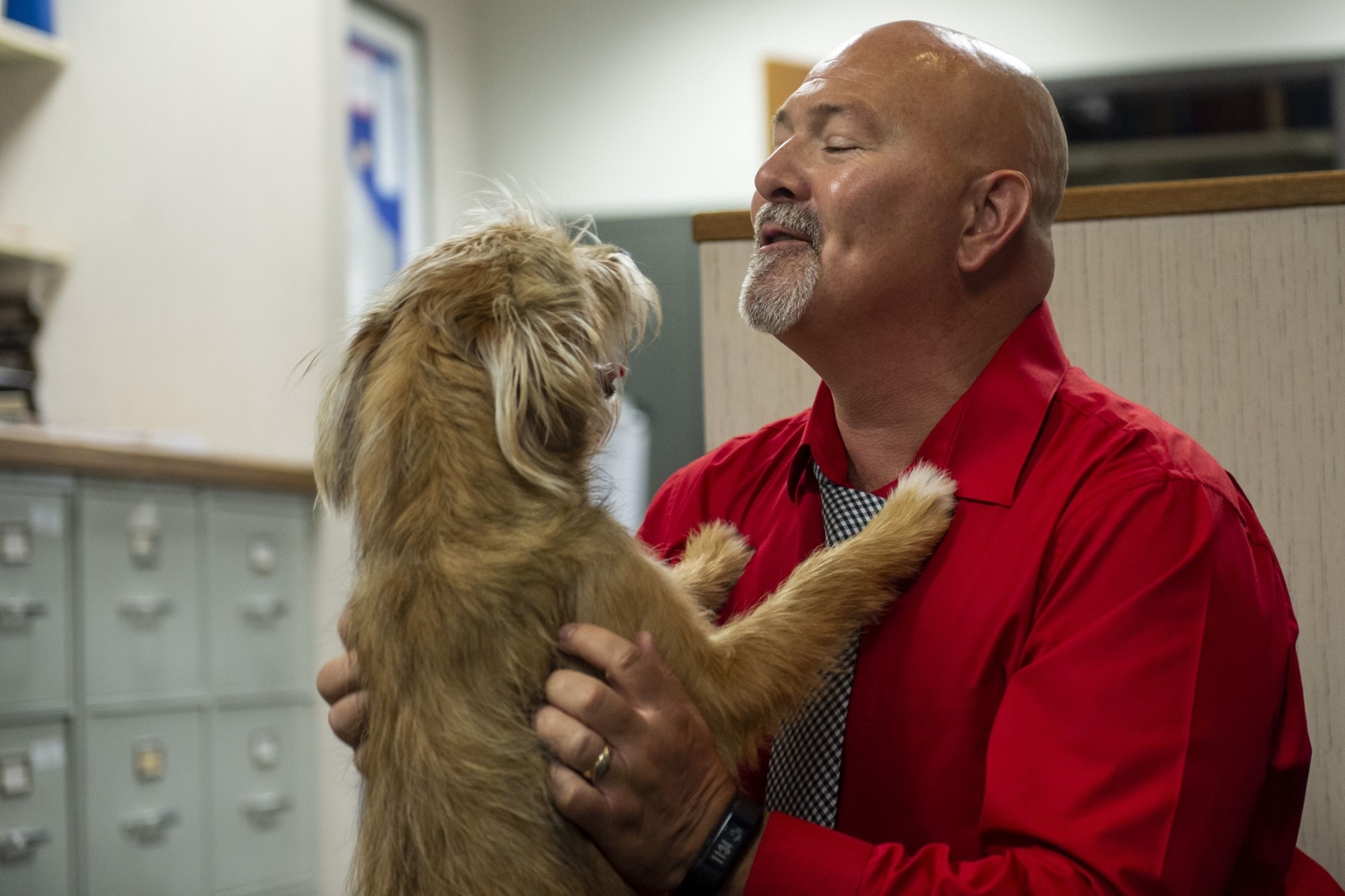 Woof! Puppy-sitting programme helps get dogs adopted more easily | The Star