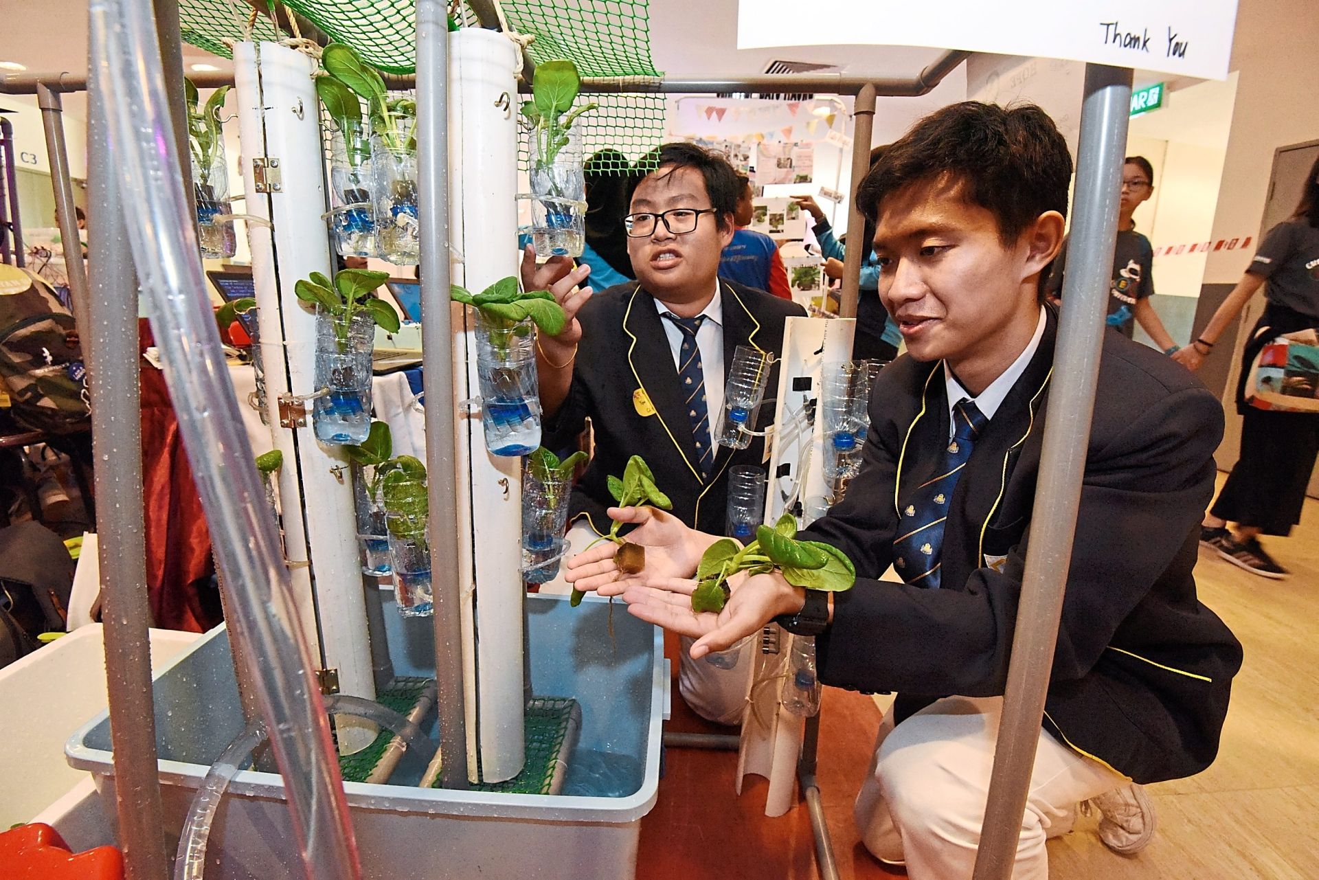 Discovering wonders of science | The Star