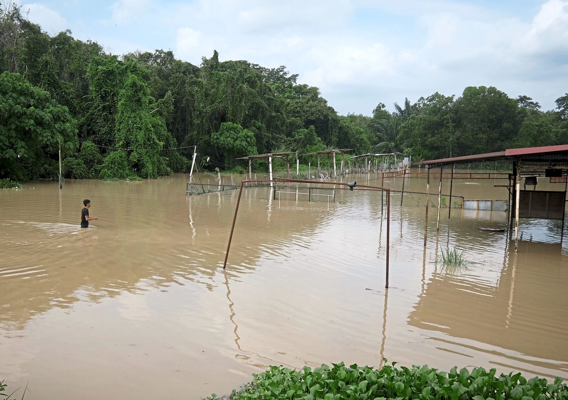 Mitigation programmes lower risk of flooding | The Star