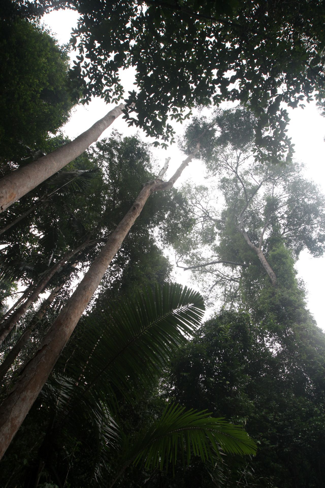 Beyond Pangkor's sun, sea and beaches | The Star