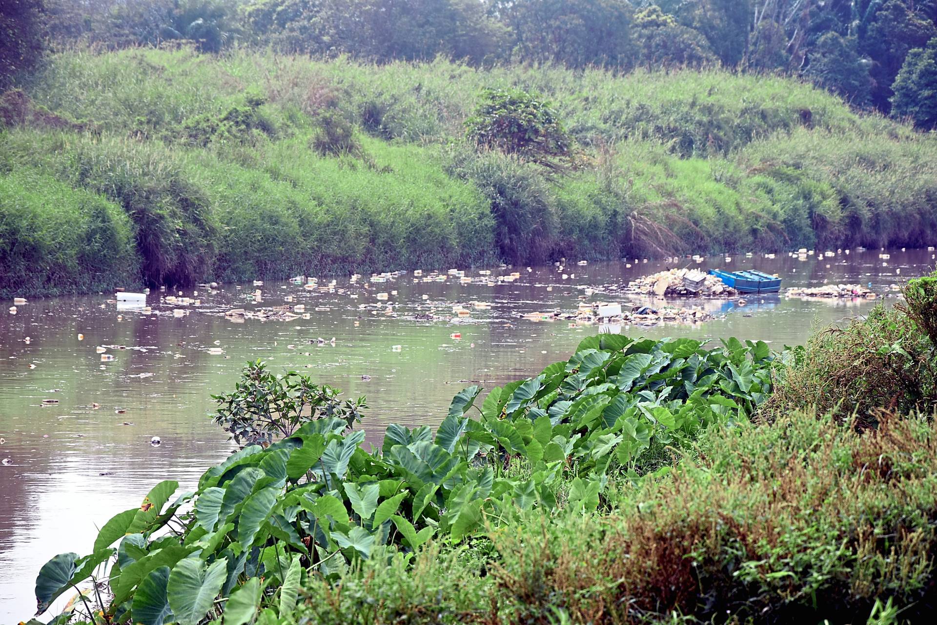 Special panel to overcome river pollution | The Star