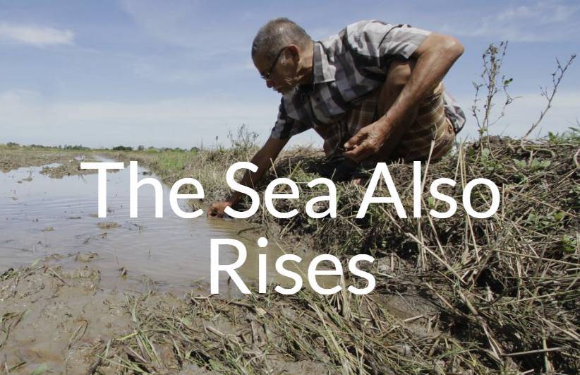 The Sea Also Rises | The Star