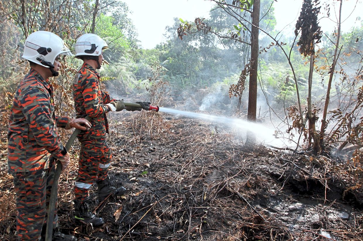More patrols to check fire hotspots | The Star