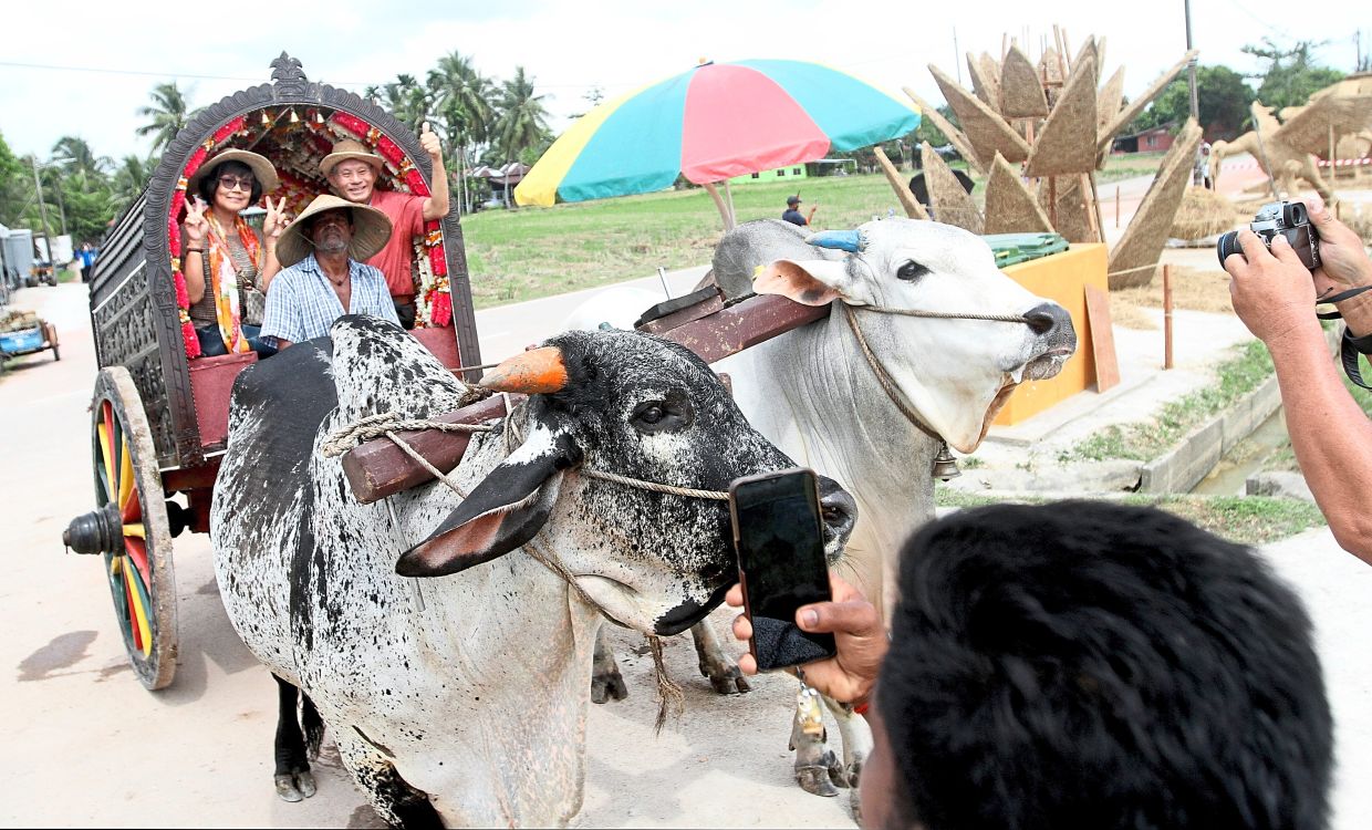 Visitors get their fill of art and fun at rural fair | The Star