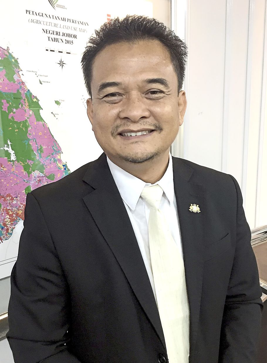 Johor aims to bring back black pepper heyday | The Star