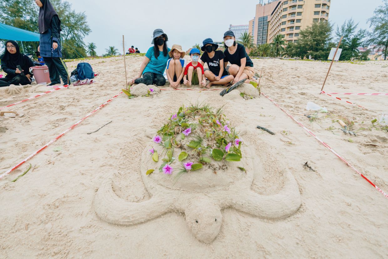 Sculpting sand turtles to raise funds for turtle conservation | The Star