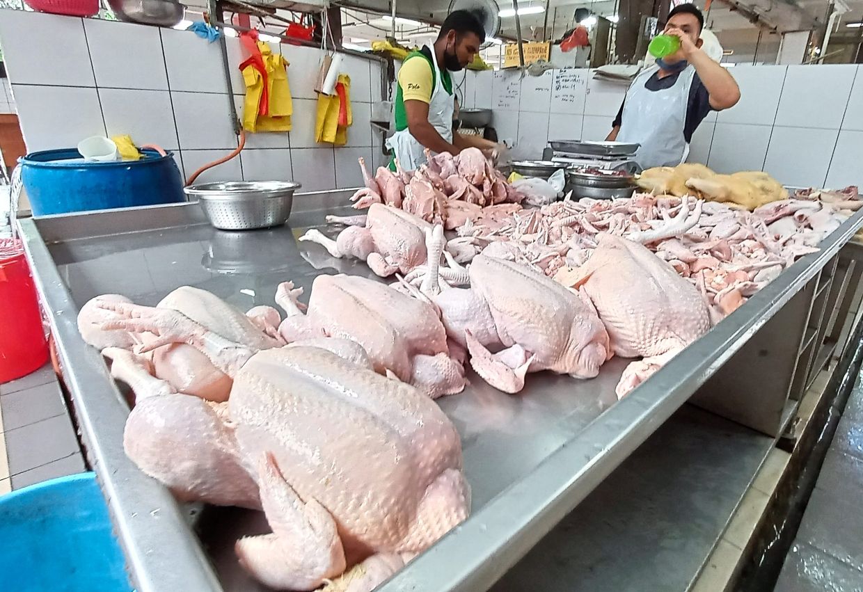 Kiandee: Govt reviewing chicken export ban, in force till Aug 31 | The Star