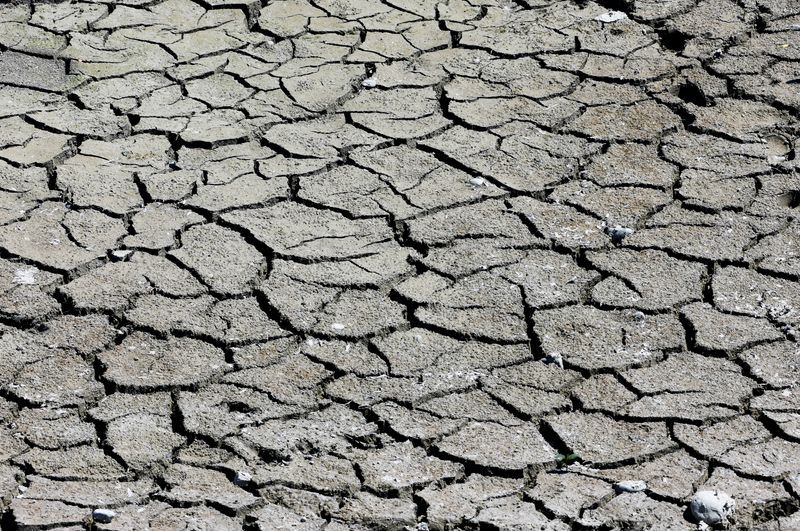 Temperatures rise as France tackles its worst drought on record | The Star