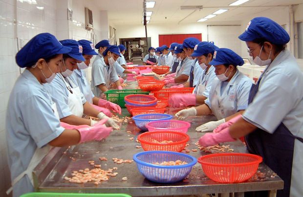 CAB boosting chicken and value-added processed food businesses | The Star