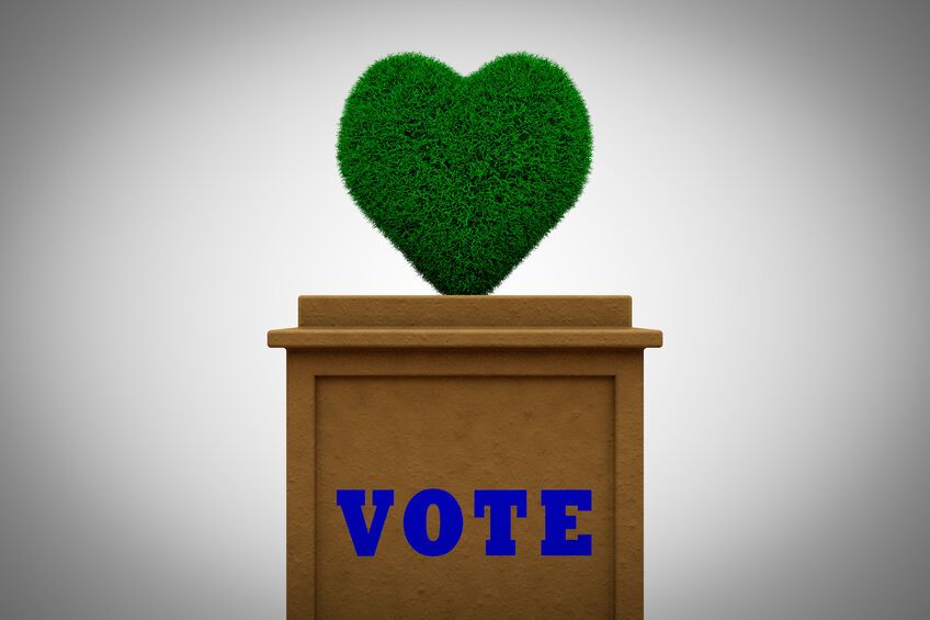 Make your vote green, keep environmental issues on the radar screens of ...