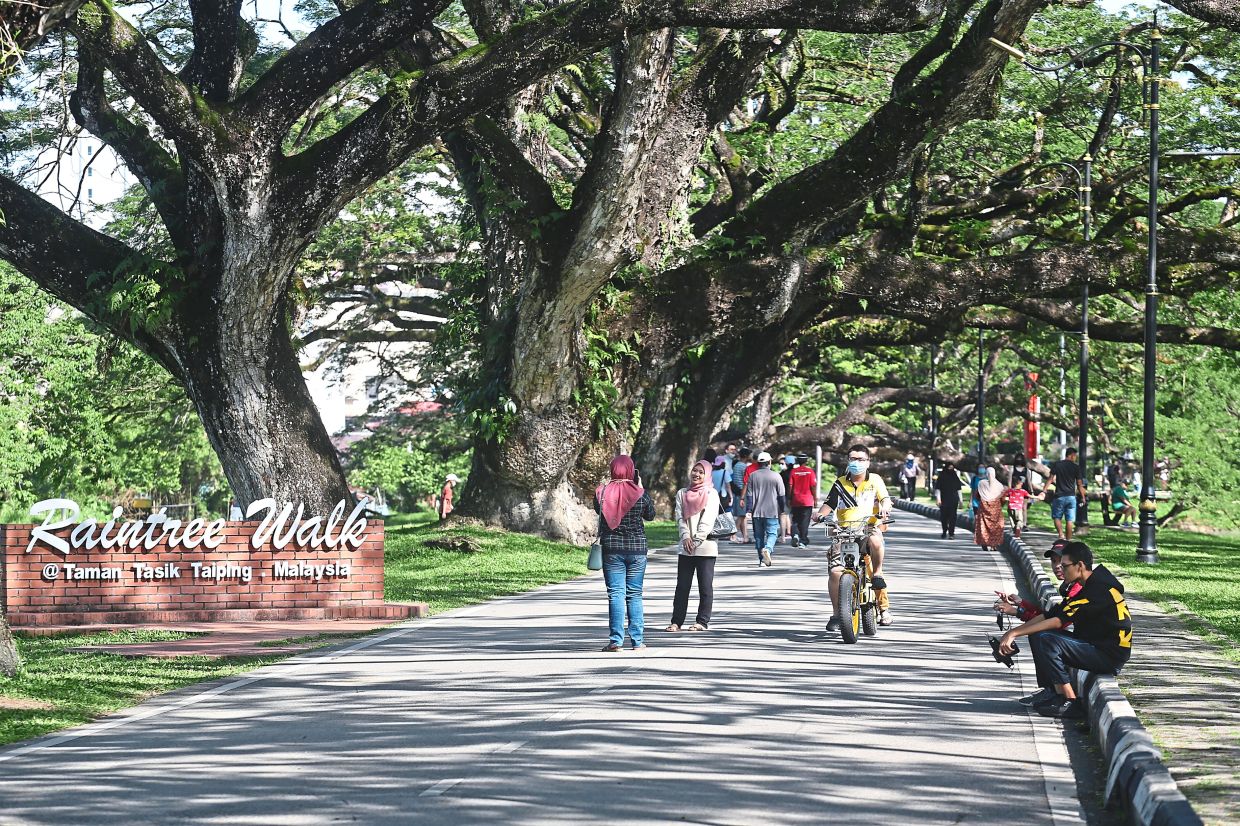 Best way to get moving? Just walk! | The Star