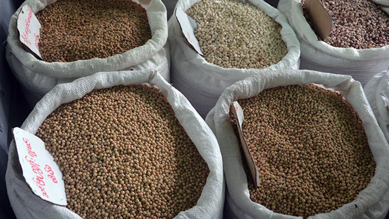 Myanmar exports over 558,700 tonnes of beans, pulses in April-July ...