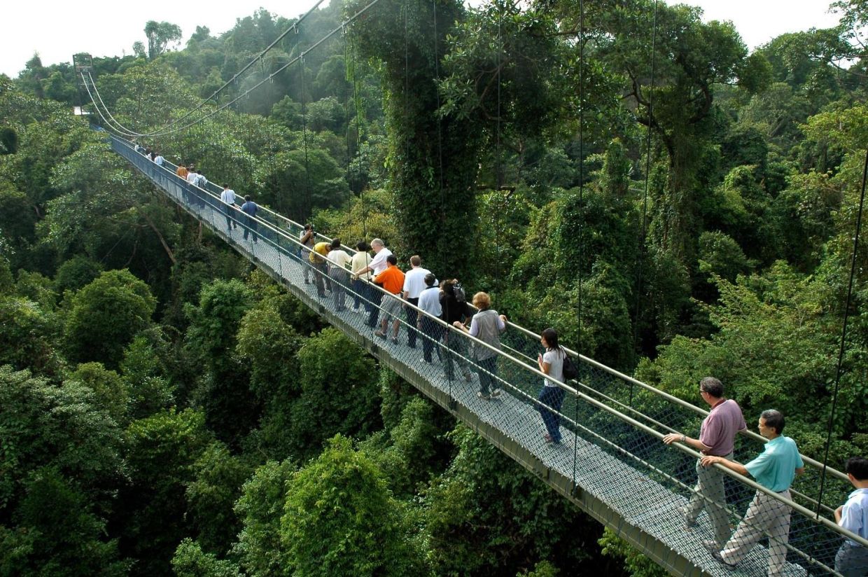 Singapore's NParks to centralise environmental assessments of nature ...