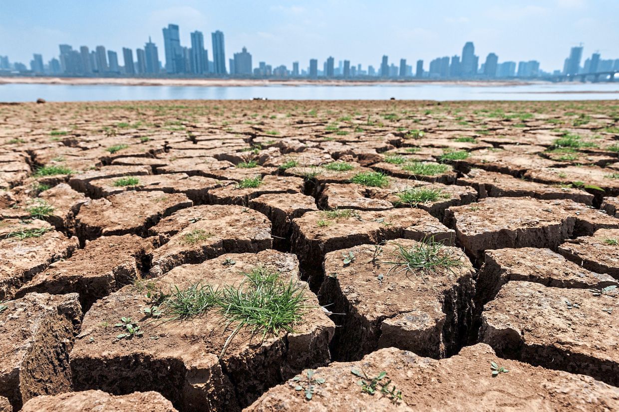 Drillers work 15-hour days to build wells | The Star
