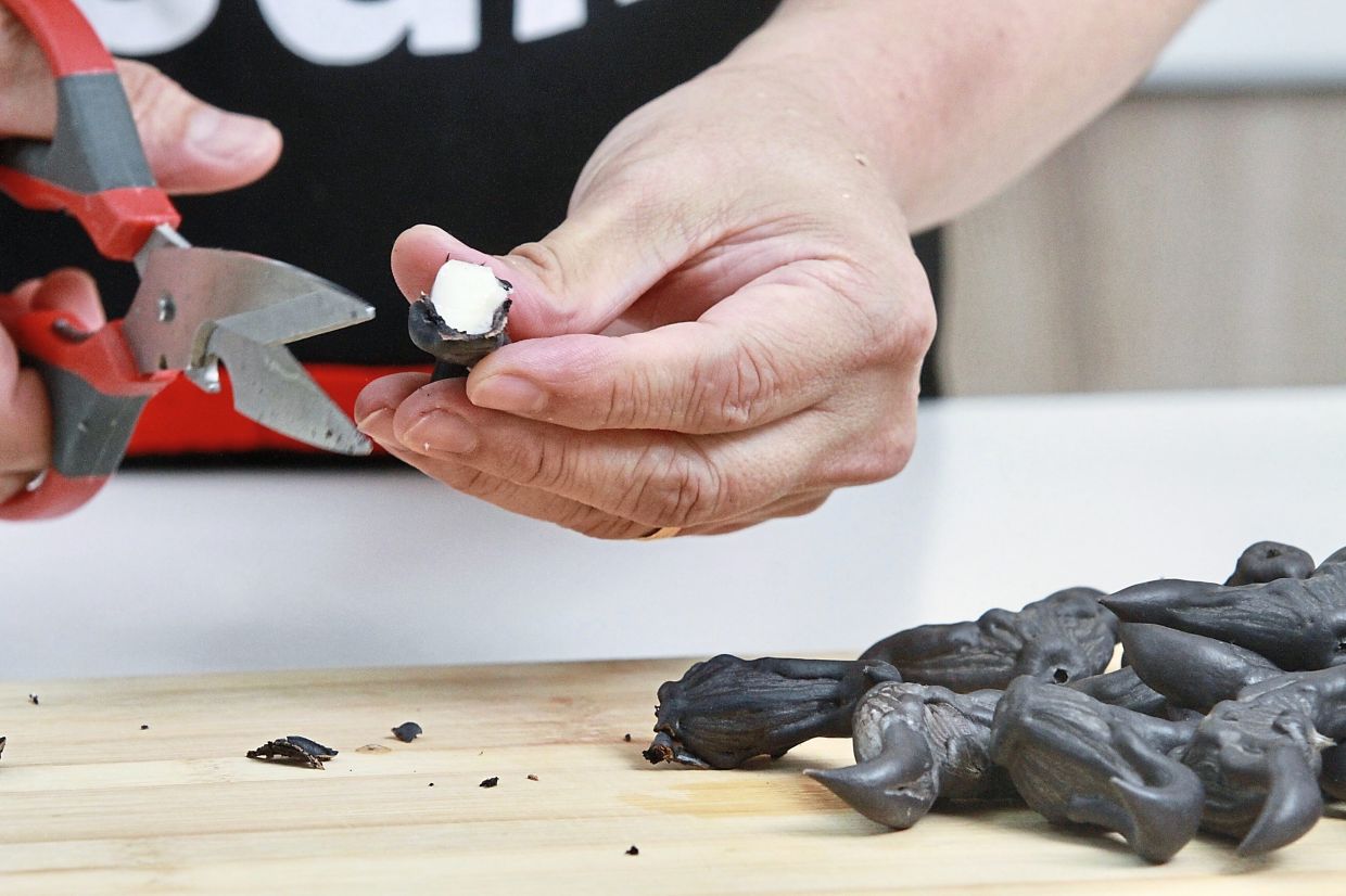 Cantonese stewed meat with Mid-Autumn flavours | The Star