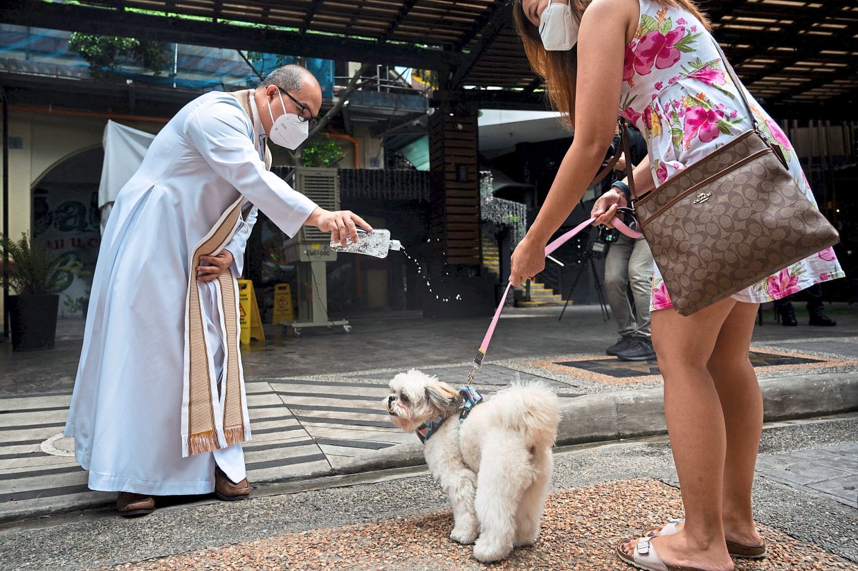 Pet weddings and special blessings | The Star