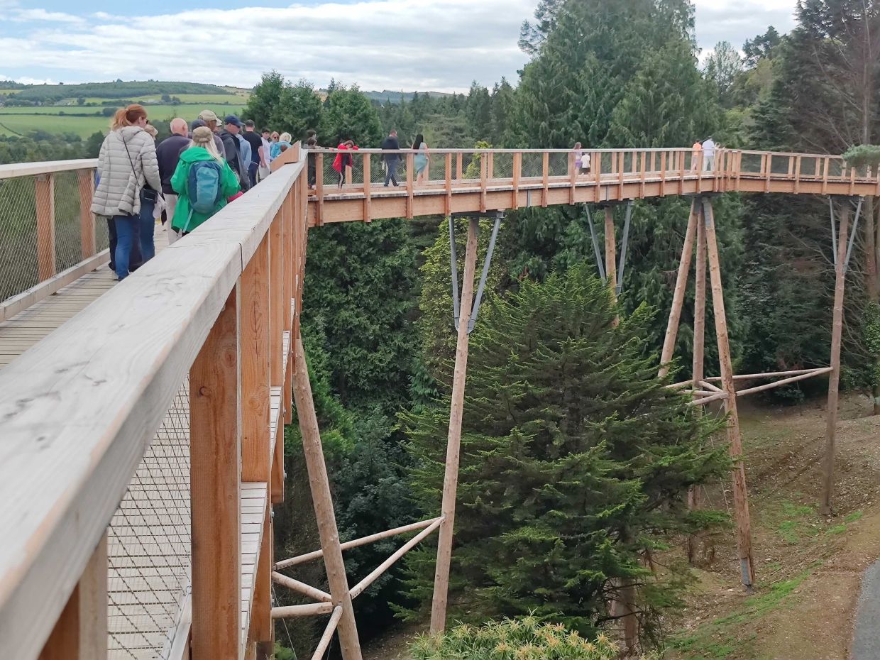 New treetop walk outside Dublin becomes major Irish tourist landmark ...