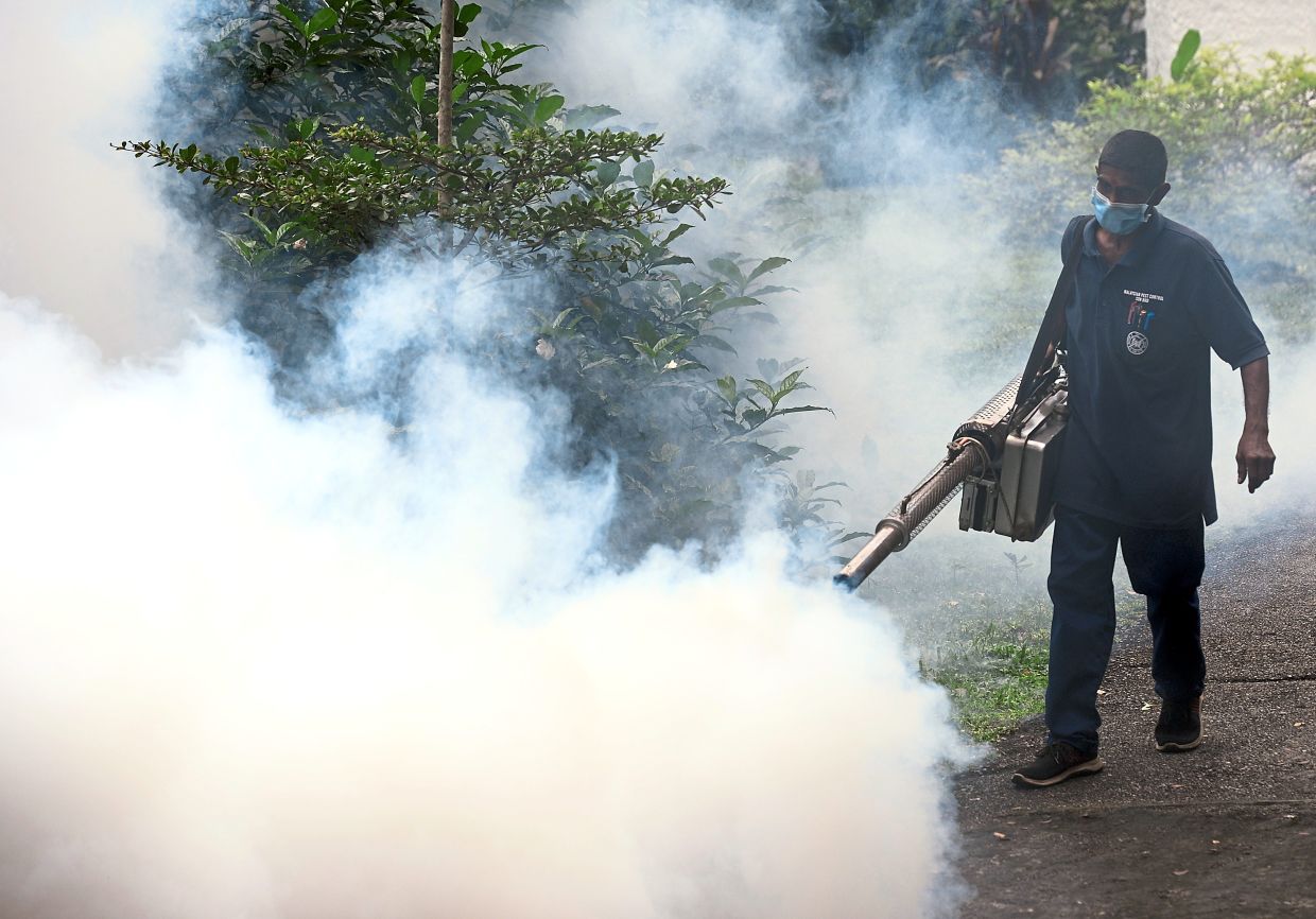 Periodic fogging a must to control dengue | The Star