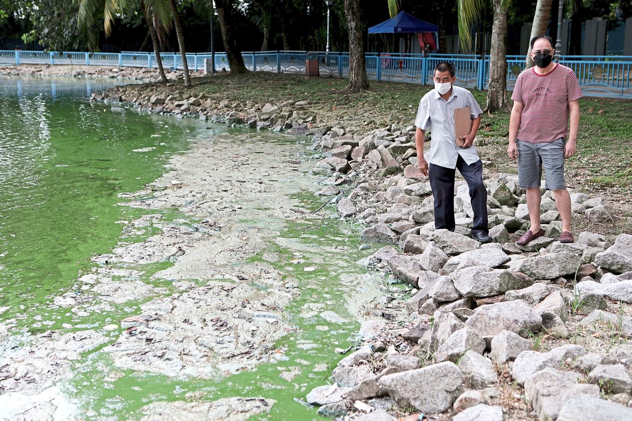 DBKL urged to resolve stinky lake issue | The Star