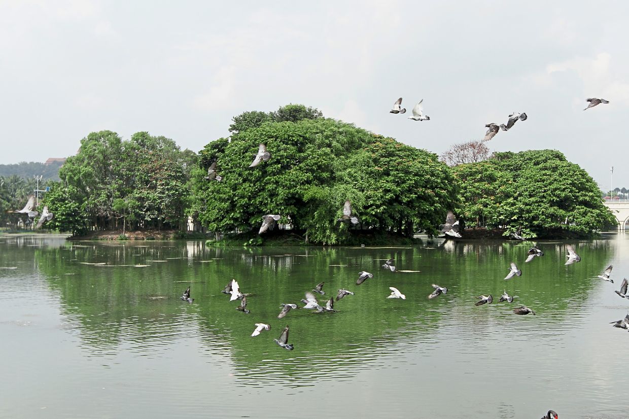 Wetlands park coming up with interactive attraction | The Star