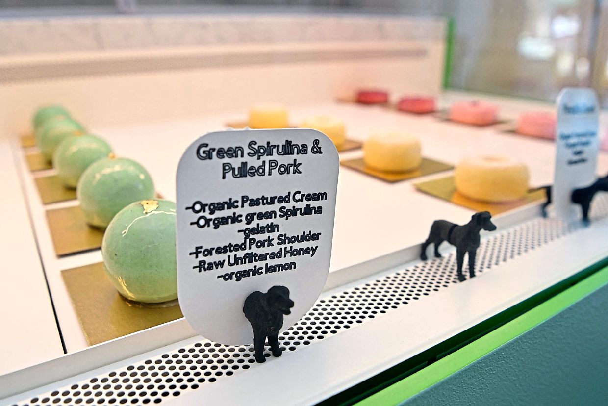 Haute-dog cuisine: US restaurant caters to canine gourmets | The Star