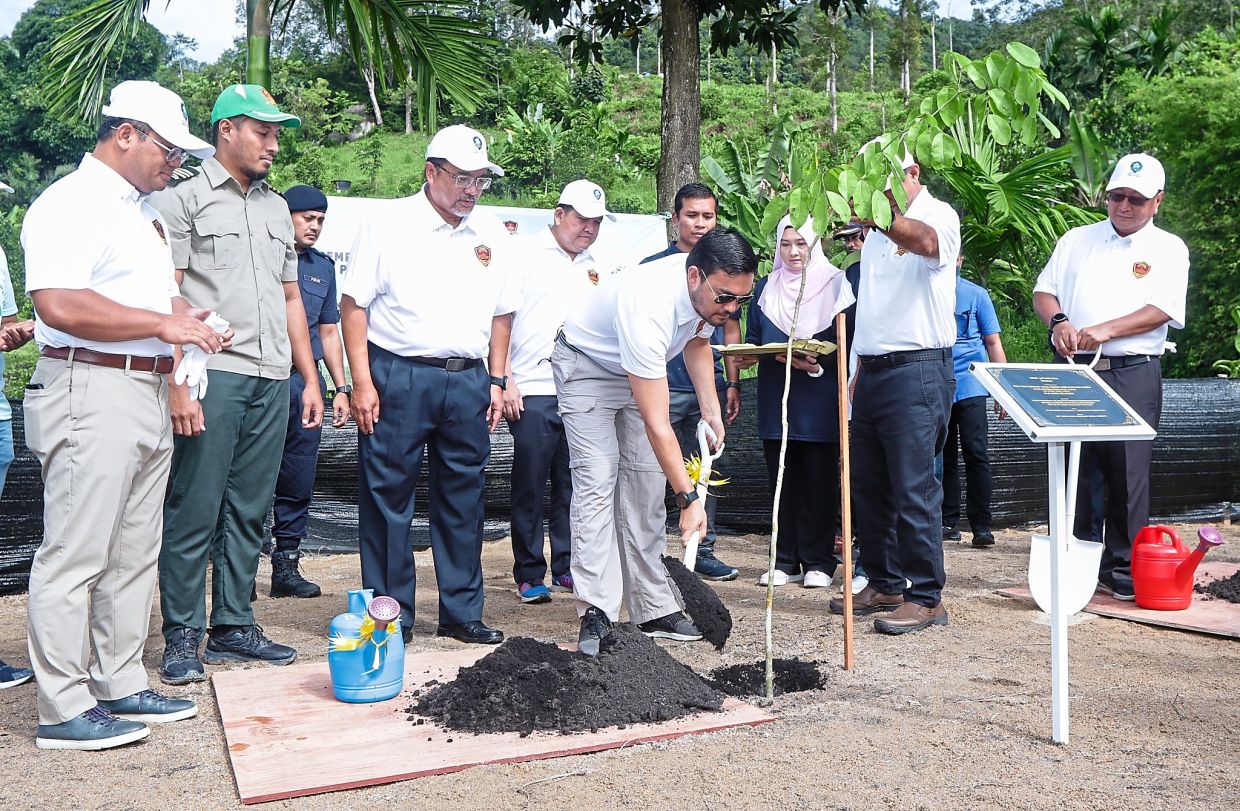 2,000 trees planted to mark Forest Day | The Star