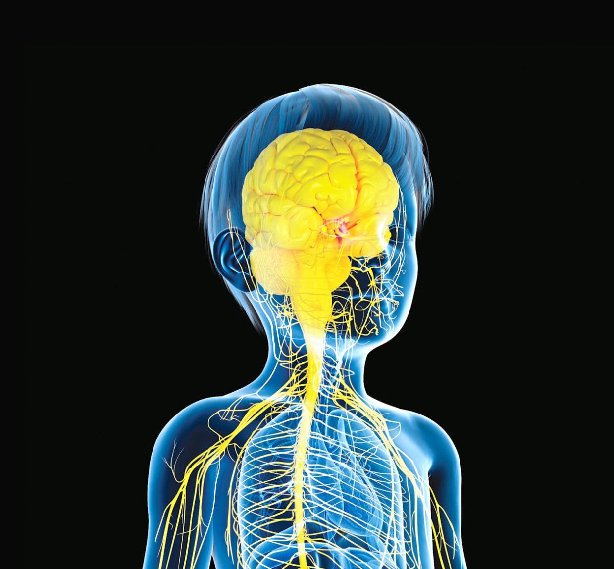 Signs of brain cancer in children | The Star