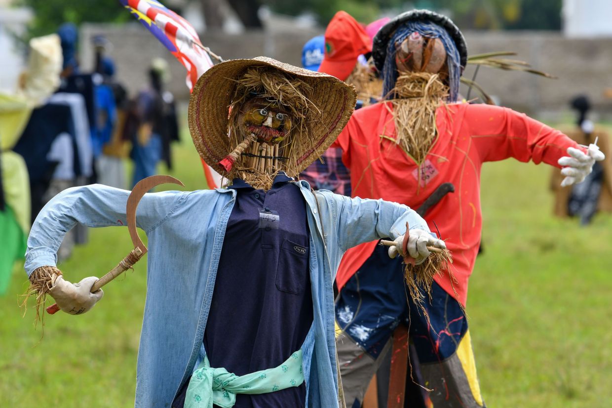 Scarecrows by the hundreds draw curious crowds in Kota Baru | The Star